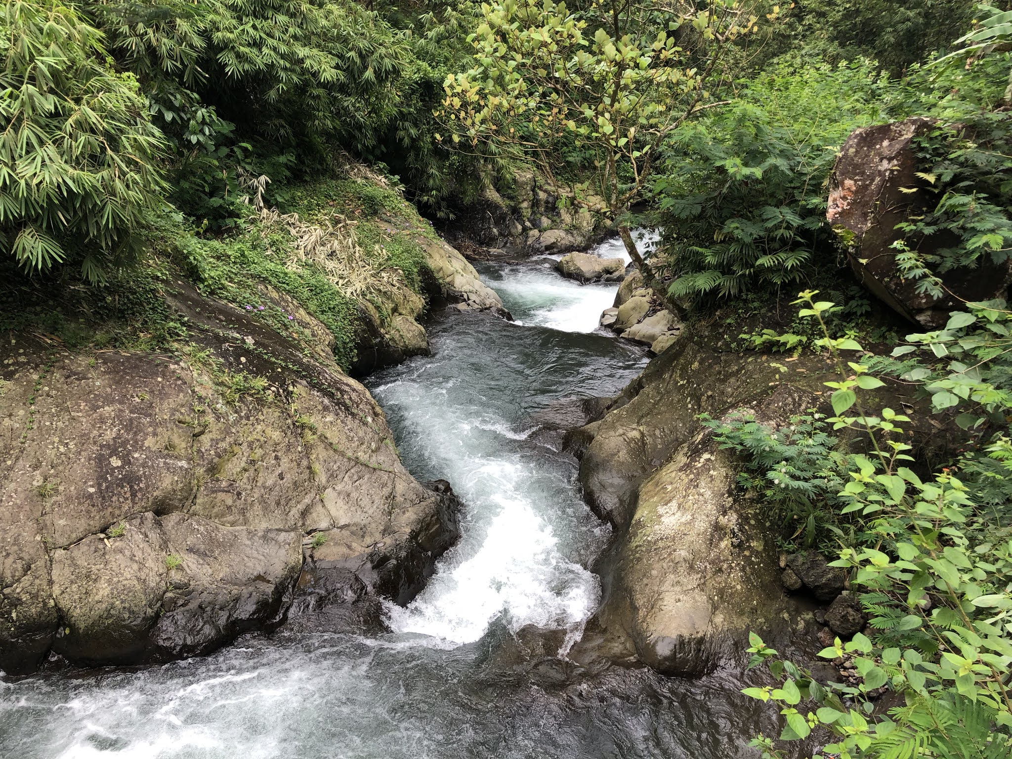 Visiting Buleleng's One of The Most Famous Waterfalls, Gitgit Waterfall ...